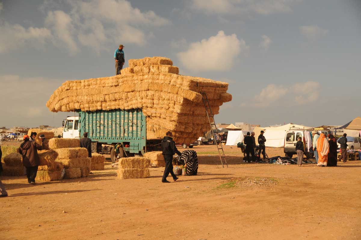 Sidi Ifni an der Atlantikküste von Marokko | unterwegs-reiseblog.de